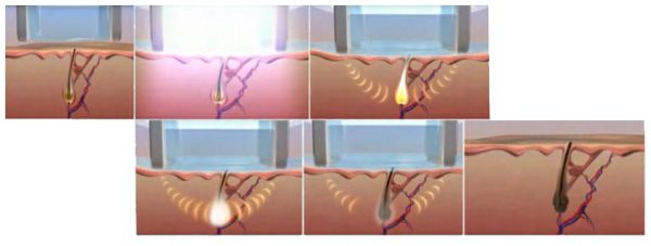 Numi DiodeXcel – Numitech